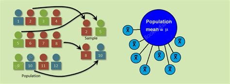 Random Sampling Assignment Help By Experienced Statistician