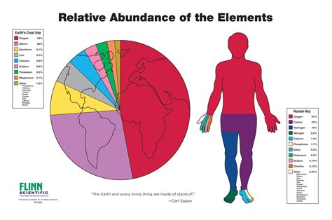Relative Abundance Of The Elements Poster Flinn Scientific