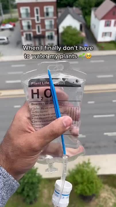 Video Mrs Sophia Ranalli On Linkedin Garden Gardening Plants Water