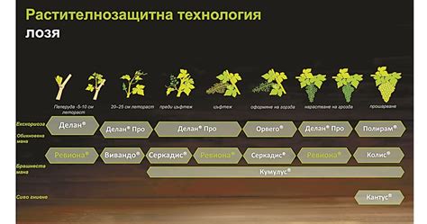 Правилният избор на фунгициди ще е ключов за реколтата Български Фермер