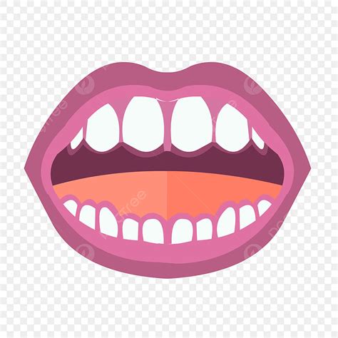 Oral Cavity Animated