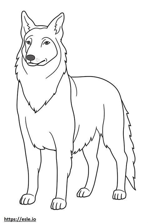 Border Collie Friendly Coloring Page