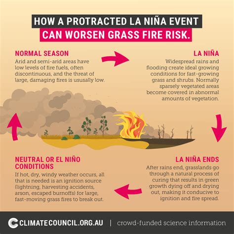 Grass Fires Follow Floods Heres What You Need To Know Climate Council