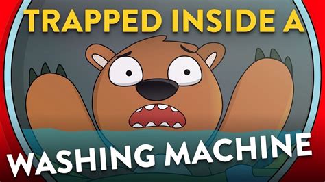 What If You Were Trapped Inside A Washing Machine Funny Educational
