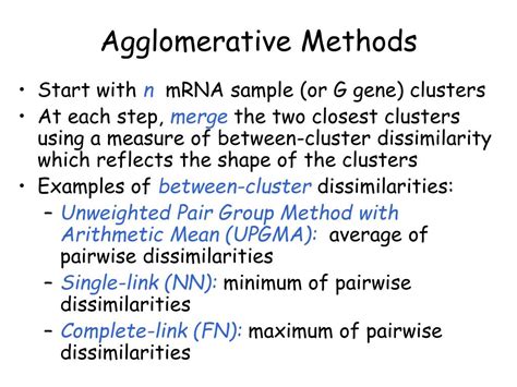Ppt Clustering Methods Used In Microarray Data Analysis Powerpoint