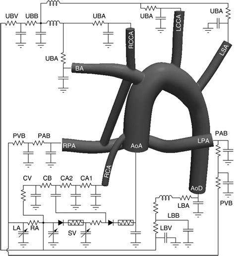 Lumped Parameter Network Coupled To The Bt Shunt Anatomy This Lpn Download Scientific Diagram