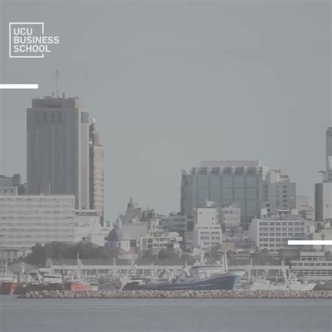 Marcelo Lanfranconi Posted On Linkedin