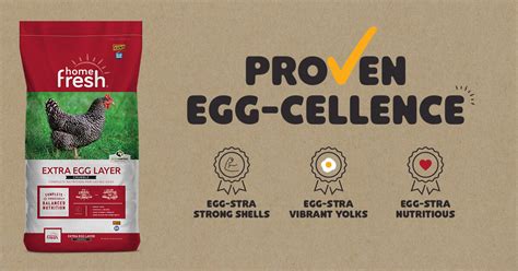 Better Eggs Lower Cost Home Fresh Extra Egg Layer Feed Delivers On