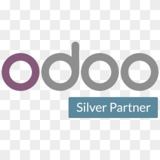 Download Svg Or Png Odoo Silver Partner Transparent Png 1200x600 852415 PinPng