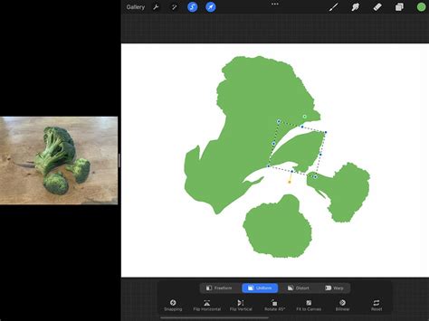 How To Draw A Broccoli Step By Step Procreate Tutorial DobbernationLOVES
