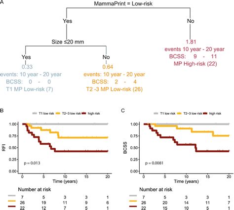 Explorative Decision Tree For The Node Positive Patients And Download Scientific Diagram