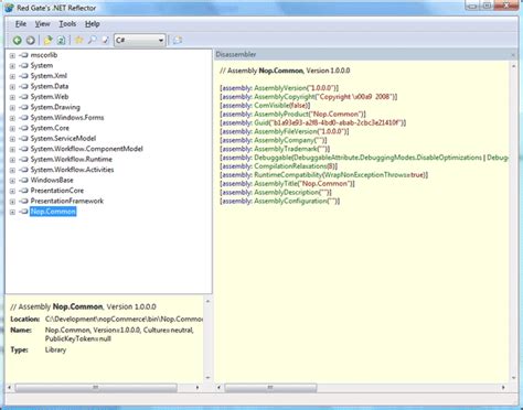 Code Disassembly And Reflection By Nicholas Barger Nicholas Barger