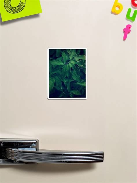 Spiral Flag Insulin Magnet Bohomoon