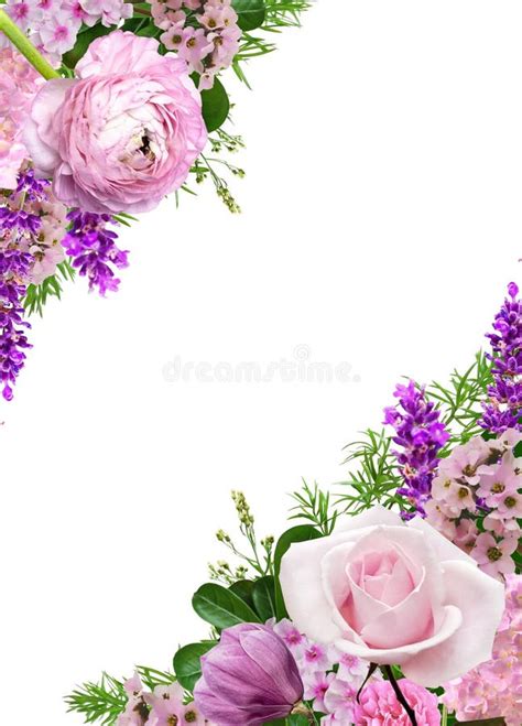 Pink Floral Border Png