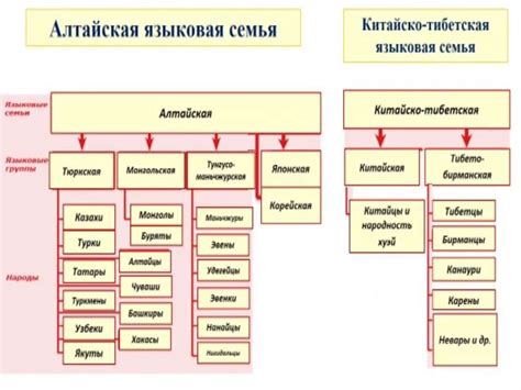 Языковые семьи и группы народов мира презентация онлайн