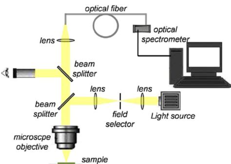 Sketch Of The Optical Setup Download Scientific Diagram