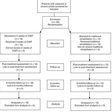 Flowchart Of Patient Randomization And Follow Up Download Scientific