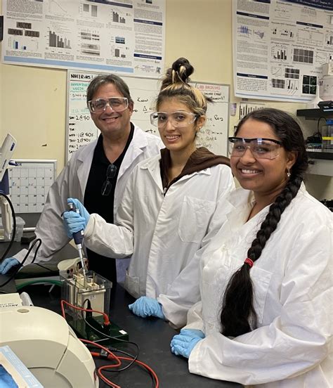 Addgene On Linkedin Course Based Undergraduate Research Experiences Cures