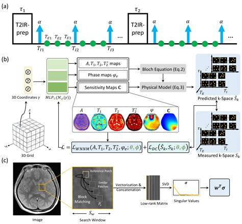 Multi Parameter Molecular Mri Quantification Using Physics Informed Self Supervised Learning