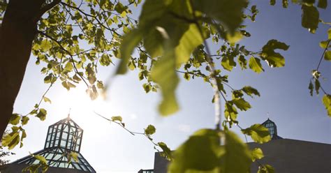 Visite Guidée Darchitecture Mudam