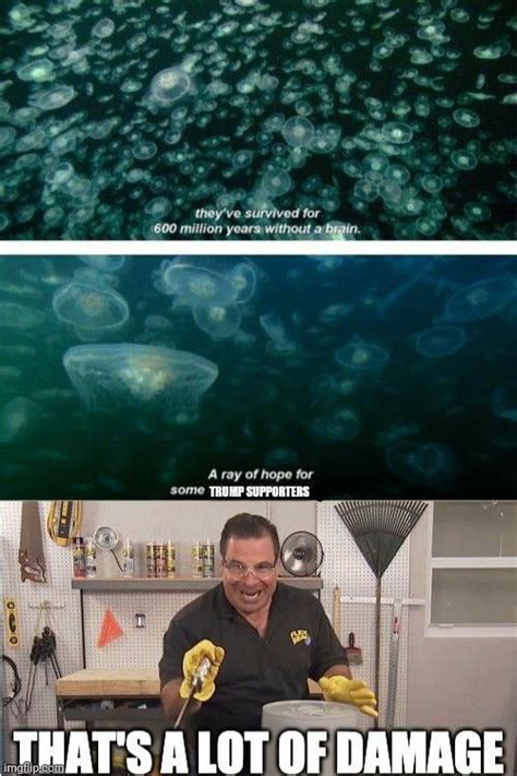 even the brainless organisms can find a way politicalhumor