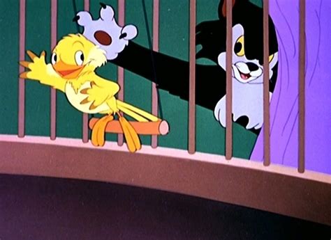 Figaro And Frankie 1947 The Internet Animation Database