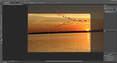 Photoshop Tutorial How To Crop And Straighten Images In Photoshop
