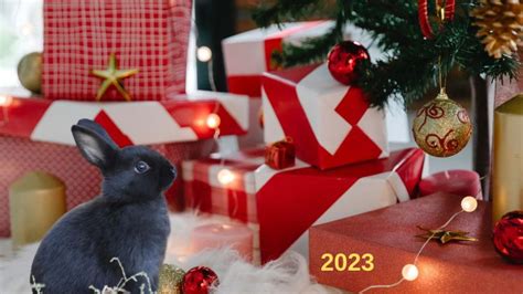 როგორი იქნება 2023 წელი ზოდიაქოს ნიშნებისთვის