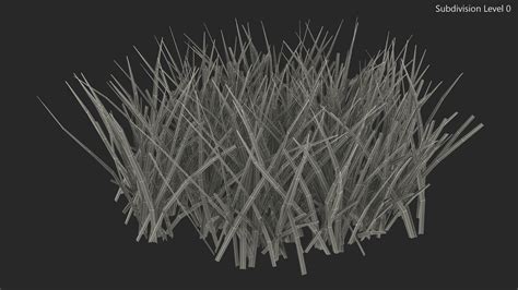 3d Realistic Patch Of Grass Turbosquid 2320540