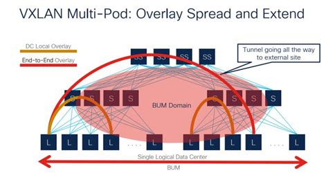 Ehsan Momeni Bashusqeh On Linkedin Cisco Ciscolive Vxlan Bgp Evpn