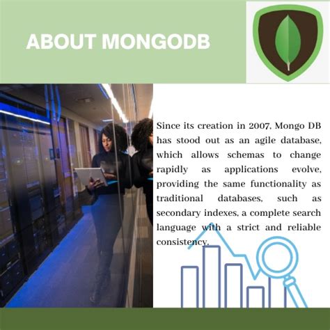 Mongodb Assignment Help And Writing Service Upto 50 Off