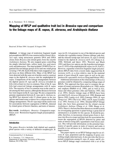 Pdf Mapping Of Rflp And Qualitative Trait Loci In Brassica Rapa And