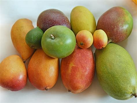 Types Of Aam 20 List Of Most Popular Mango Varieties In The World