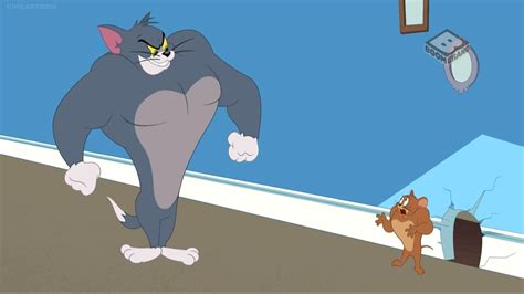 Tom And Jerry Buff Tom At Daniel Hodges Blog