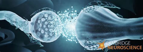 8th Cambridge Neuroscience Symposium Interventions And Recovery Cambridge Neuroscience