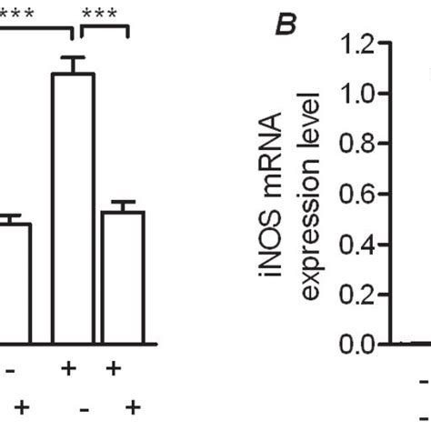 A Ros Was Measured In Krebs Ringer Bicarbonate Buffer With 10 µm Download Scientific Diagram