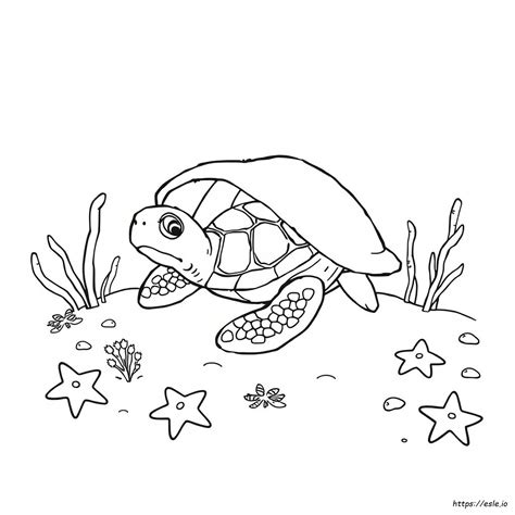 Turtle Shell Coloring Page