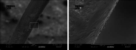 Typical Tin Whisker Observation Test Specimen 14 During 1500 Hour