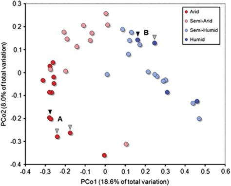 Principal Coordinates Analysis Pcoa Plot On The Unweighted Unifrac