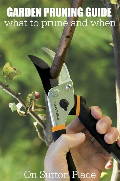 Garden Pruning Guide What To Prune When Artofit