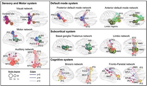 Representative Functional Subnetworks Identified By Graph Ica Each