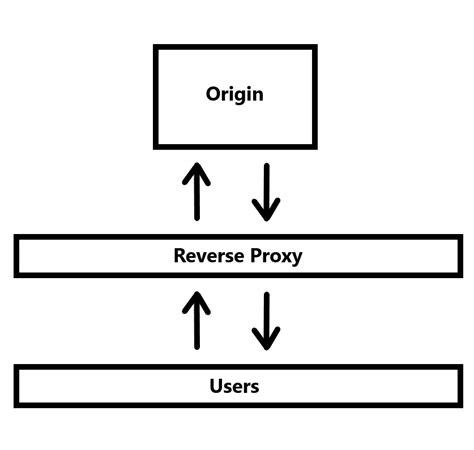 What Are Reverse Proxies When Are They Used
