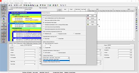 What Is Negative Float And How To Adjust It In Primavera P