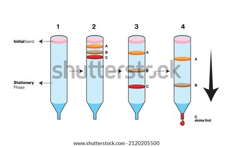 34 Hplc Chromatography Stock Vectors Images And Vector Art Shutterstock