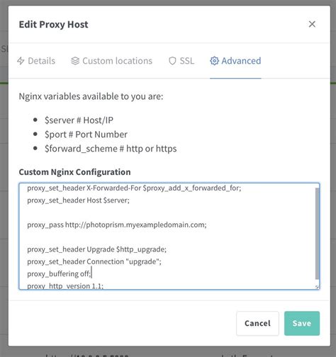 Could Someone Help Me Configuring Nginx Proxy Manager To Proxy