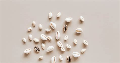 Write A Python Program To Find Common Items From Two Lists