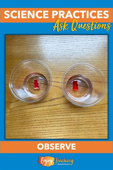 How To Make Testable Questions For Science How To Make Testable Questions For Science