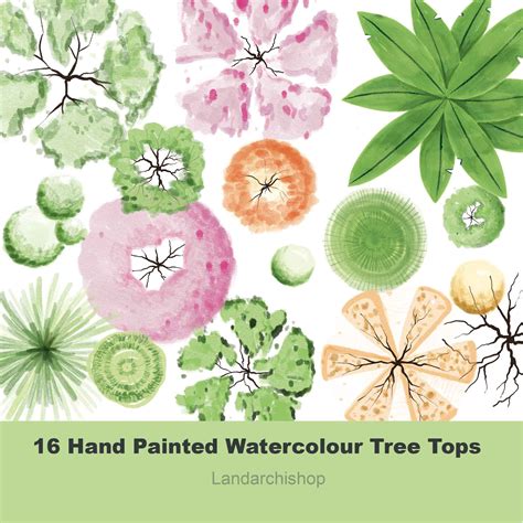 Watercolour Tree Top View Landscape Tree Plan View Landscape Etsy UK