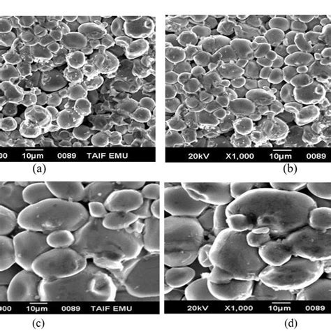 Raman Spectra Of Zno Based Varistor Made From Different Zno Particle Download Scientific