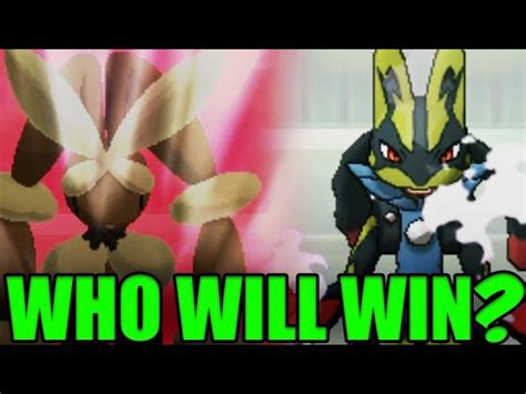 Lopunny And Lucario